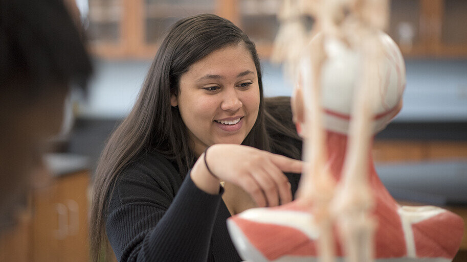 Public Health – Lourdes University